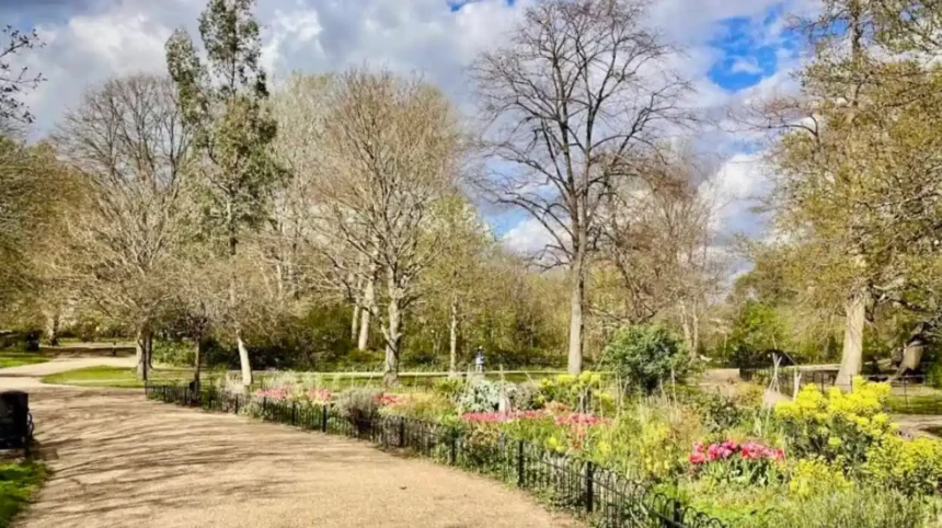 Lewisham Gems: Rivoli, Manor House, Beckenham Place